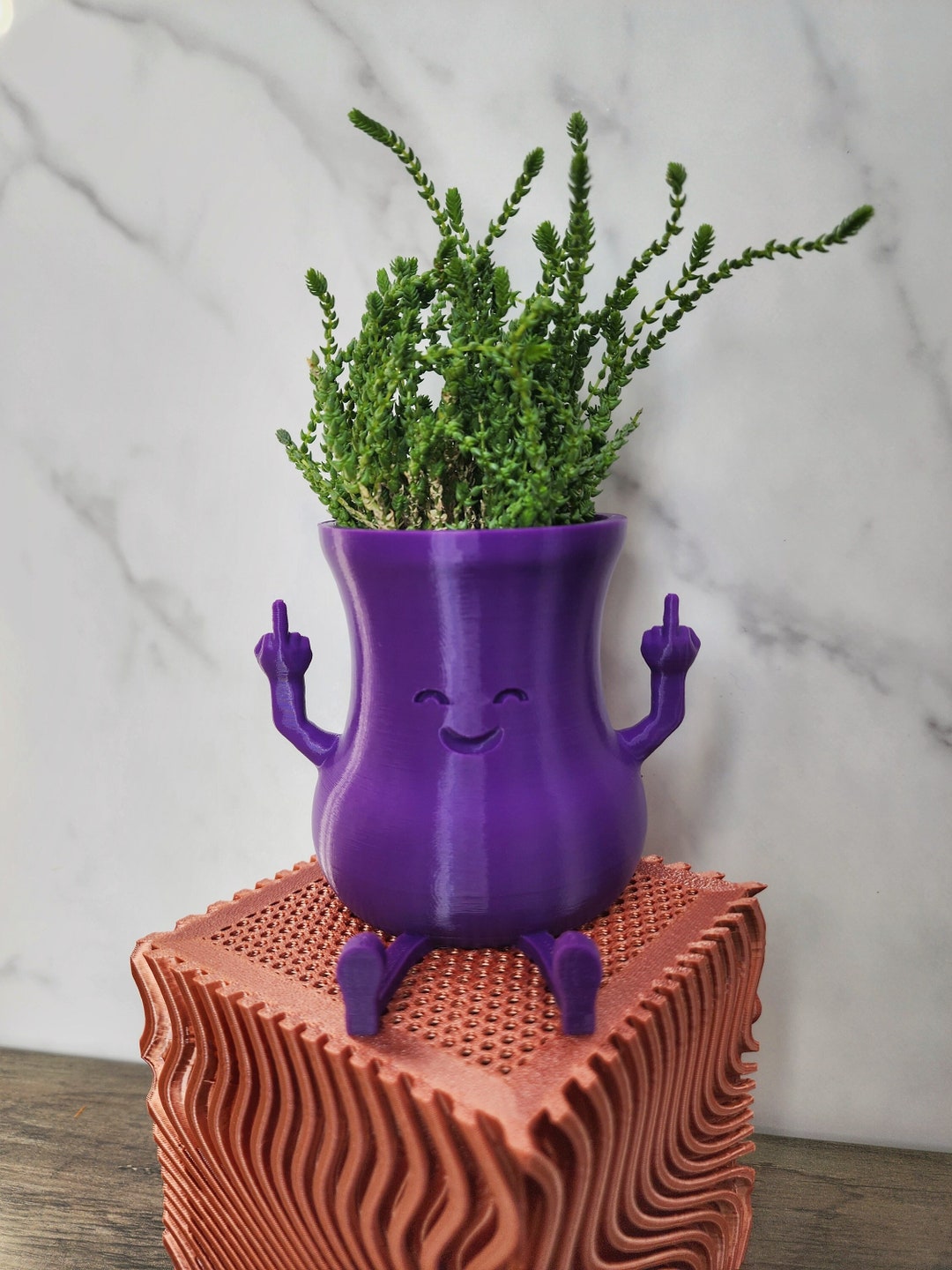 Happy Double Middle Finger Planter People Succulent Planter Gag Gift ...