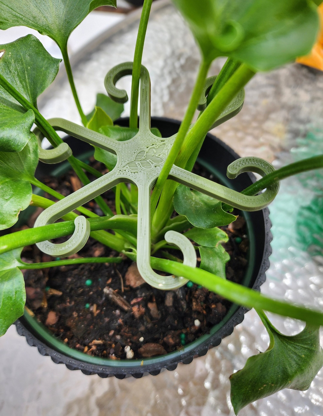 Plant Supports for House Plants "stem Strong", Plant Accessories ...