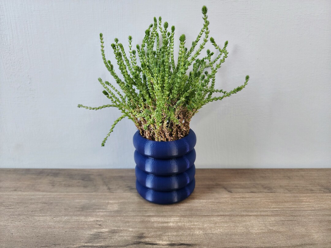 Navy Blue Bubble Ring Planter Pot With Optional Hidden Drip Tray Bottom ...