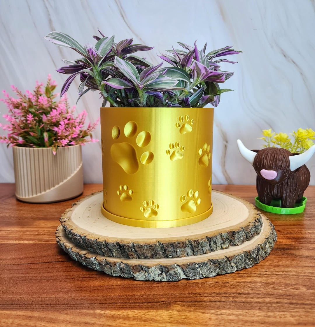 Adorable Paw Pot Planter | Original Design & Eco-friendly | 4 5 6 7 8 ...