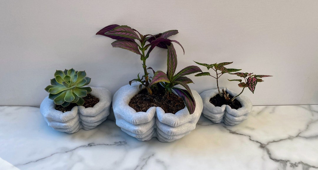 Heart Shaped Hands Planter Love Planter Hand Planter Unique Planter ...