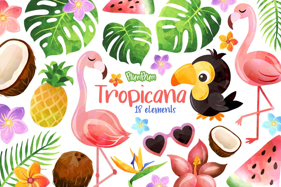 Tropical Watercolor Cliparts, Tropicana Clipart, Exotic Clipart ...