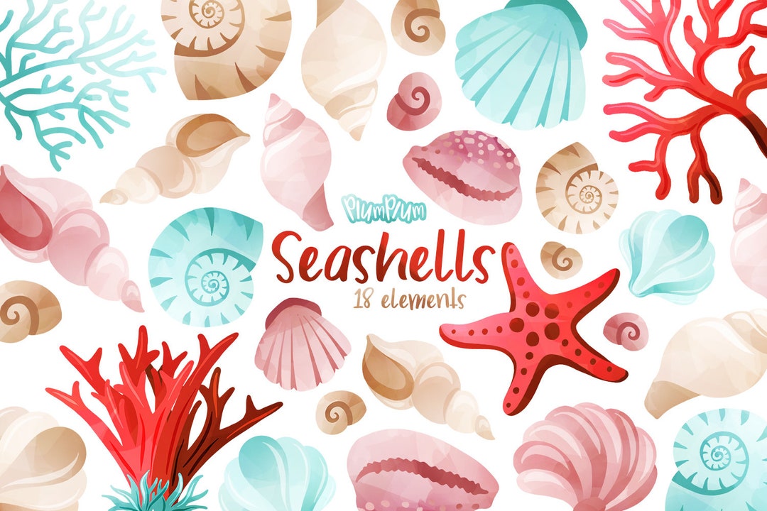 Seashells Clipart, Watercolor Clipart, Summer Clipart, Sealife ...