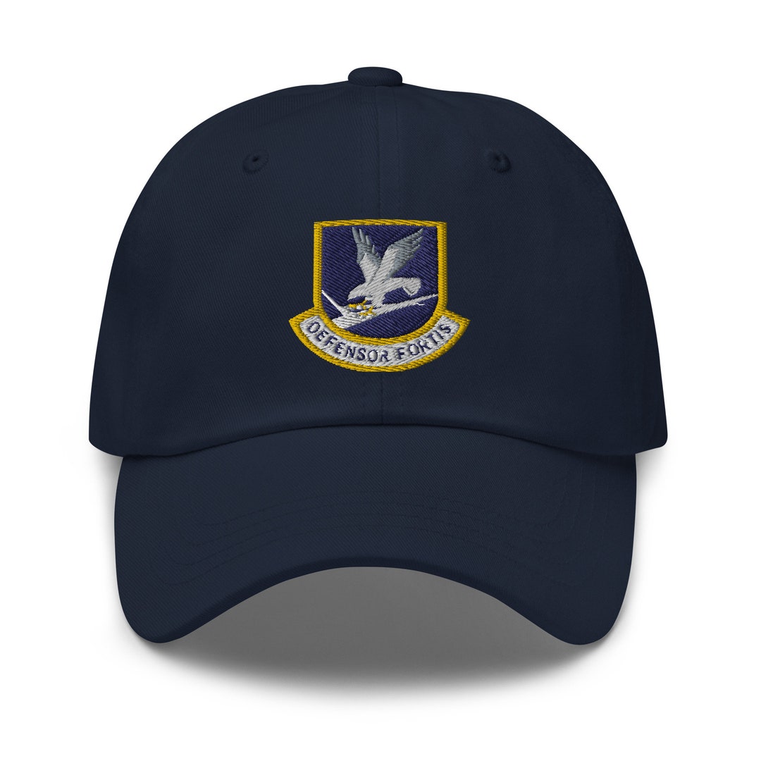 Air Force Security Forces Flash Embroidered Dad Hat - Etsy
