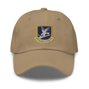 Air Force Security Forces Flash Embroidered Dad Hat - Etsy