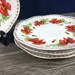 Antique Poppy Plates Dessert Plates Salad Plates Appetizer - Etsy