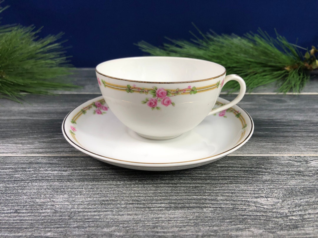 Antique German Zeh Scherzer & Co Rose and Clover Banded Cup and Saucer ...