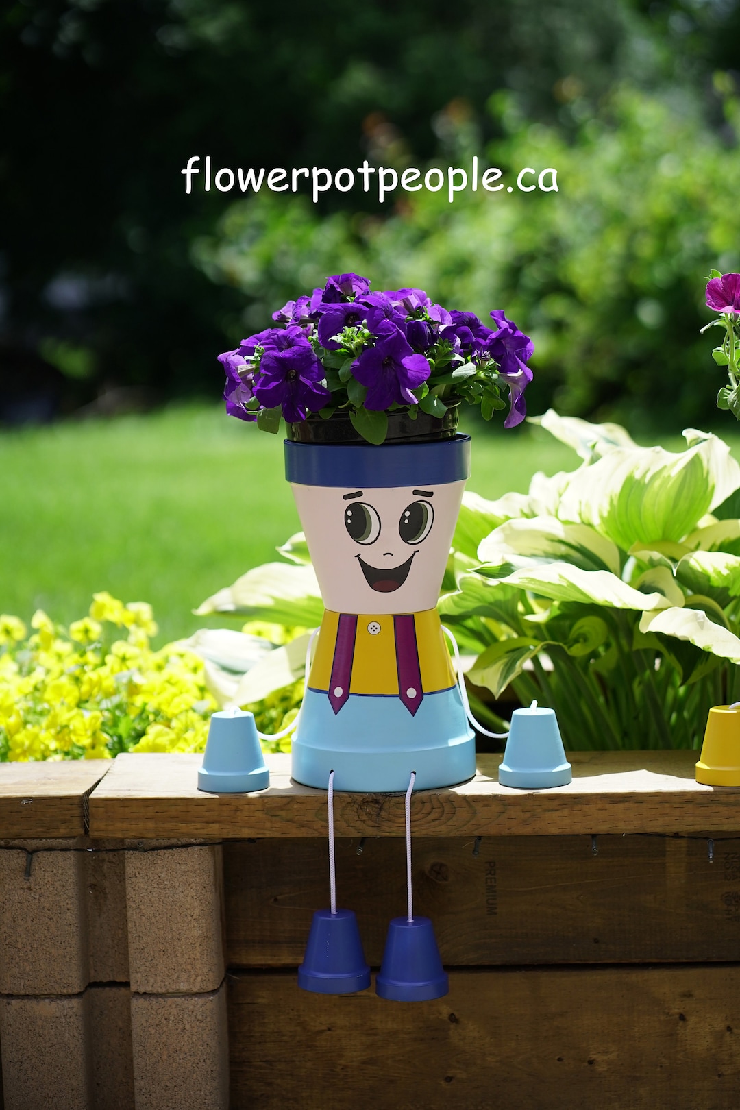 Flower Pot People, BOY KID "joe" High Quality Coated Metal No Rust and ...