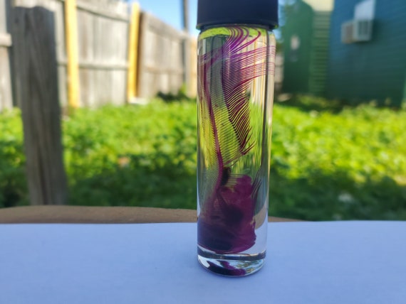 Home Décor Taxidermy & Curiosities Home & Living Quality #1 Diaphonized ...