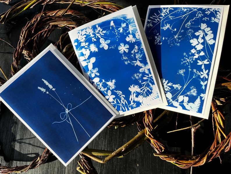 Set of 3 Stunning Botanical Cyanotypes, 5 X 7 Blank Cards - Etsy