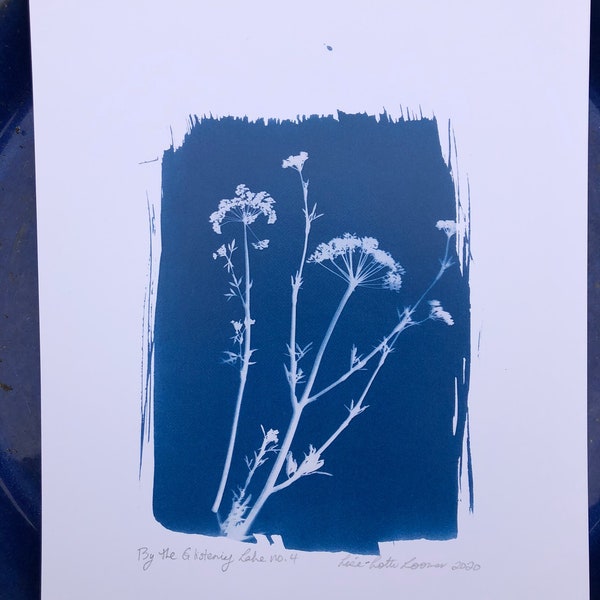 Cyanotype Print - Etsy