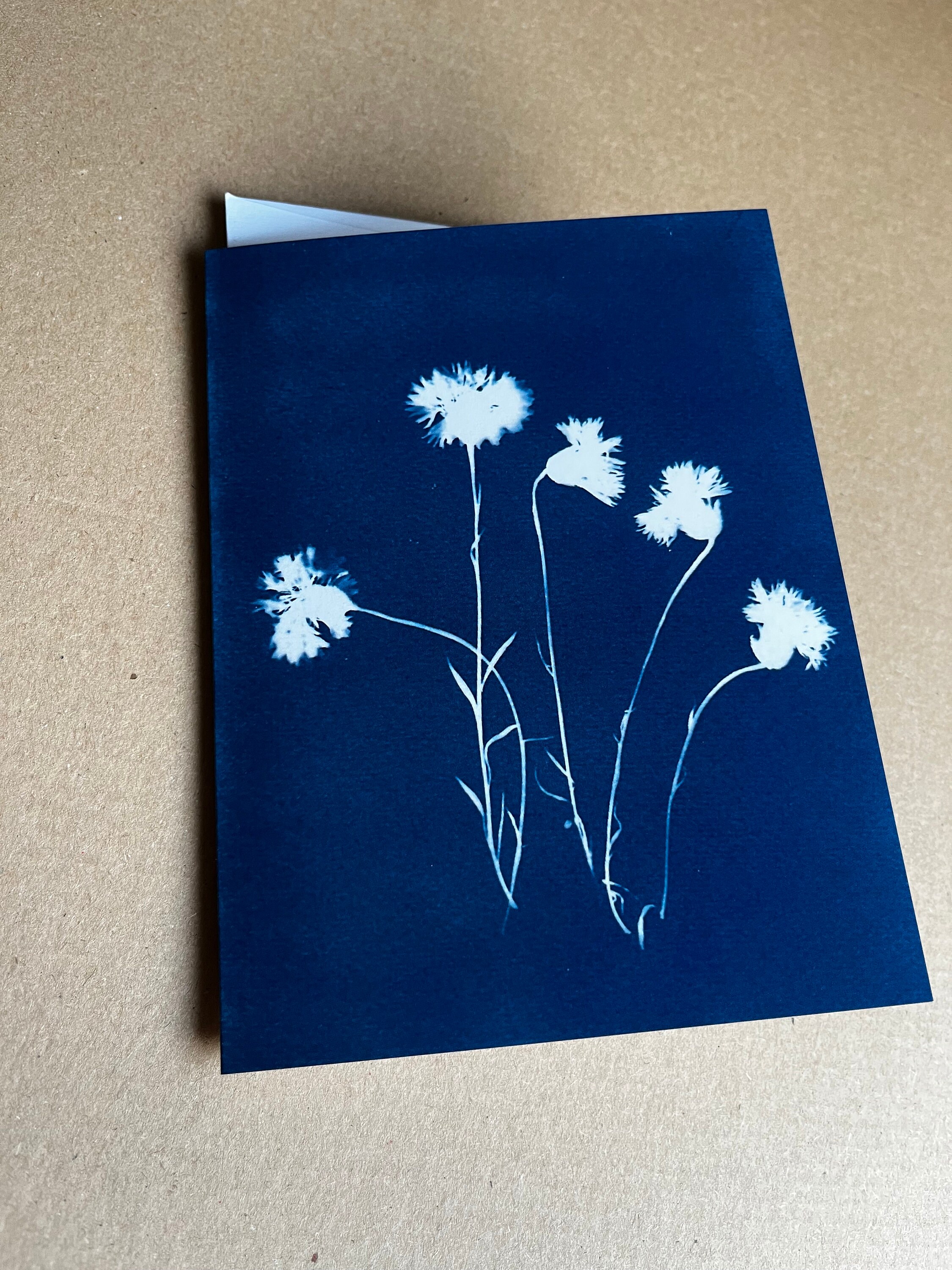 Simply Elegant Botanical Set of 4 Cyanotype Greeting Cards - Etsy UK
