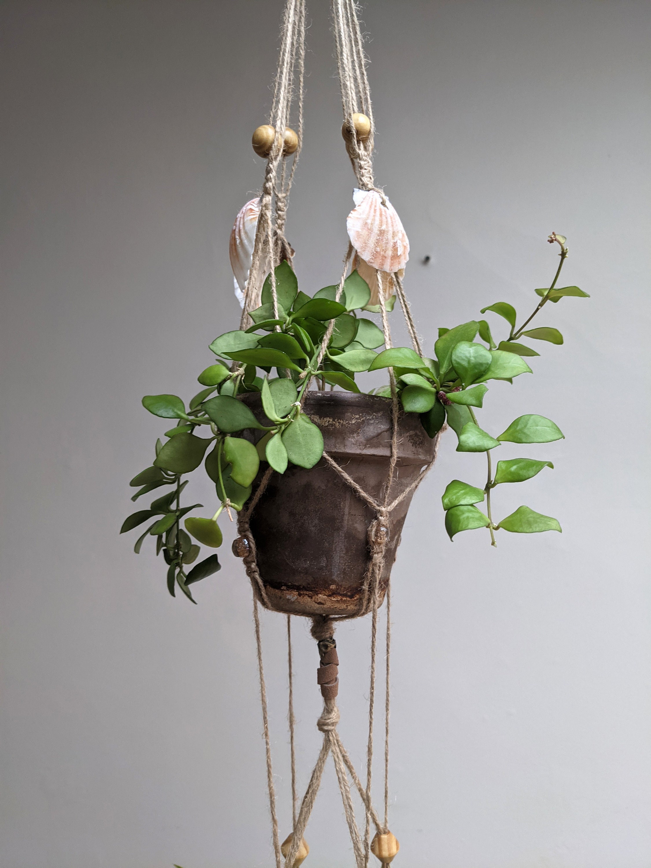 Double Macrame Hanging Planter - Etsy