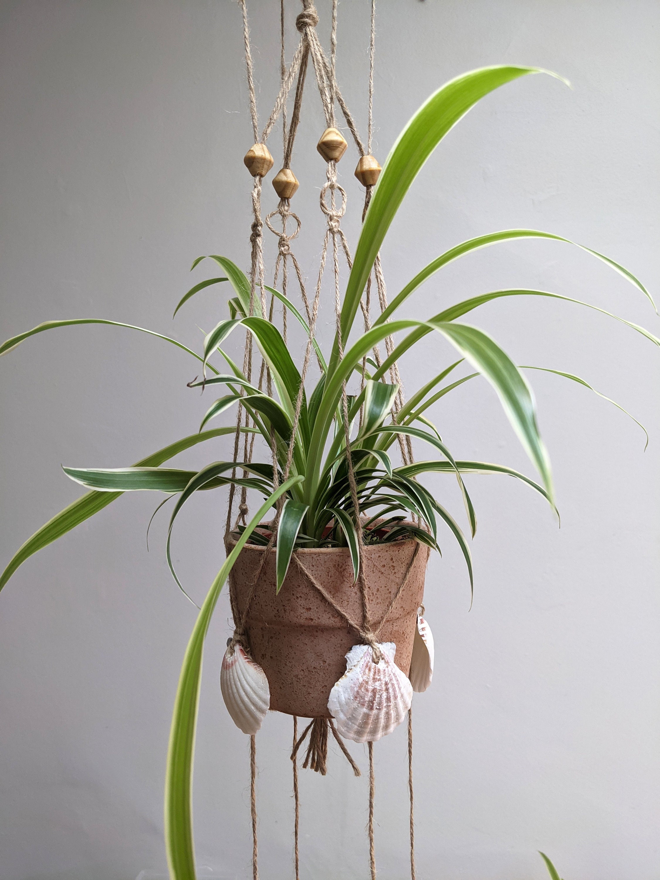 Double Macrame Hanging Planter - Etsy