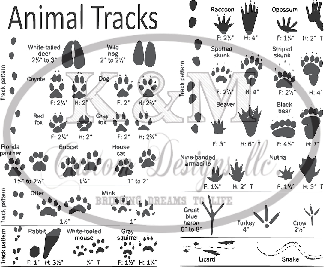 Fun Animal Tracks SVG, Dxf, Eps, Bmp, Png, Jpeg Files for Laser ...