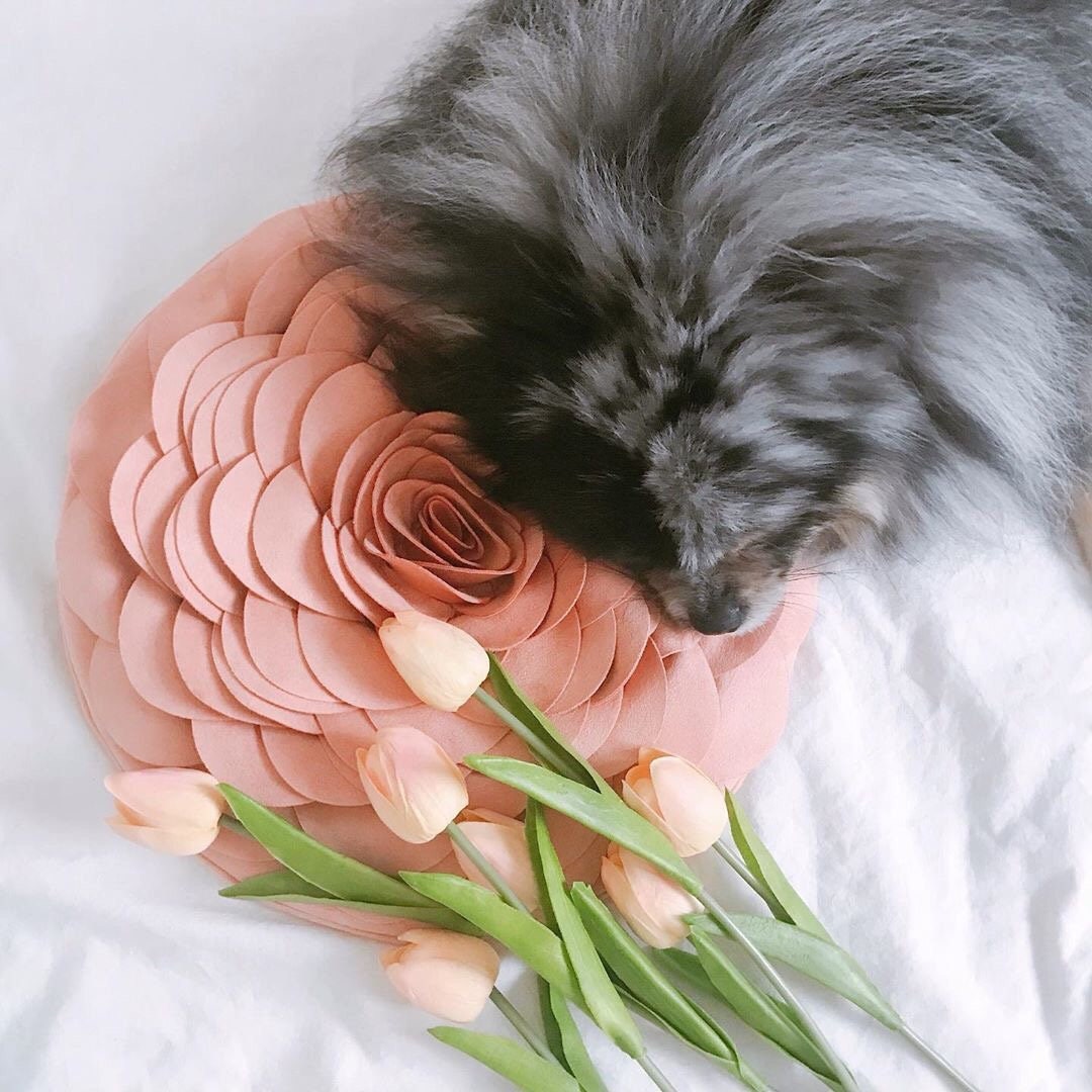 HEHO Flower Nosework Cushion Dog Cat Toy Snuffle Mat Nose Work Foraging ...