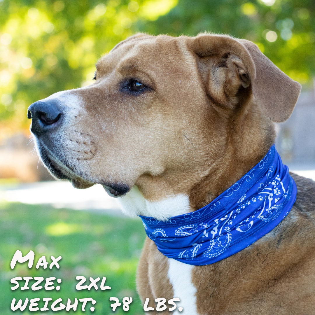 Dog Neck Gaiter Small and Large Breeds No Tying. Soft - Etsy