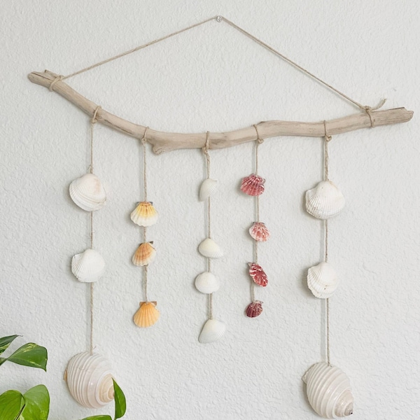 Shell Wall Decor - Etsy