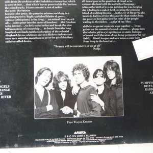 1976 Vintage Patti Smith Group Radio Ethiopia Original Vinyl Album 33T - Etsy