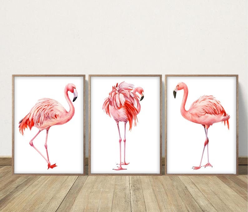 Flamingo Wall Decor Flamingo Prints Canvas or Framed Set of - Etsy