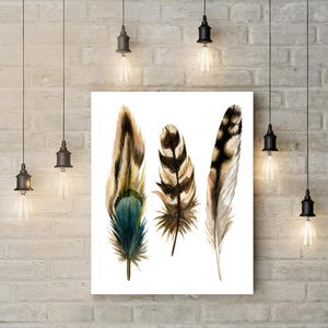 Framed Feather Wall Decor - Feather Wall Art Print - Watercolor Feather ...
