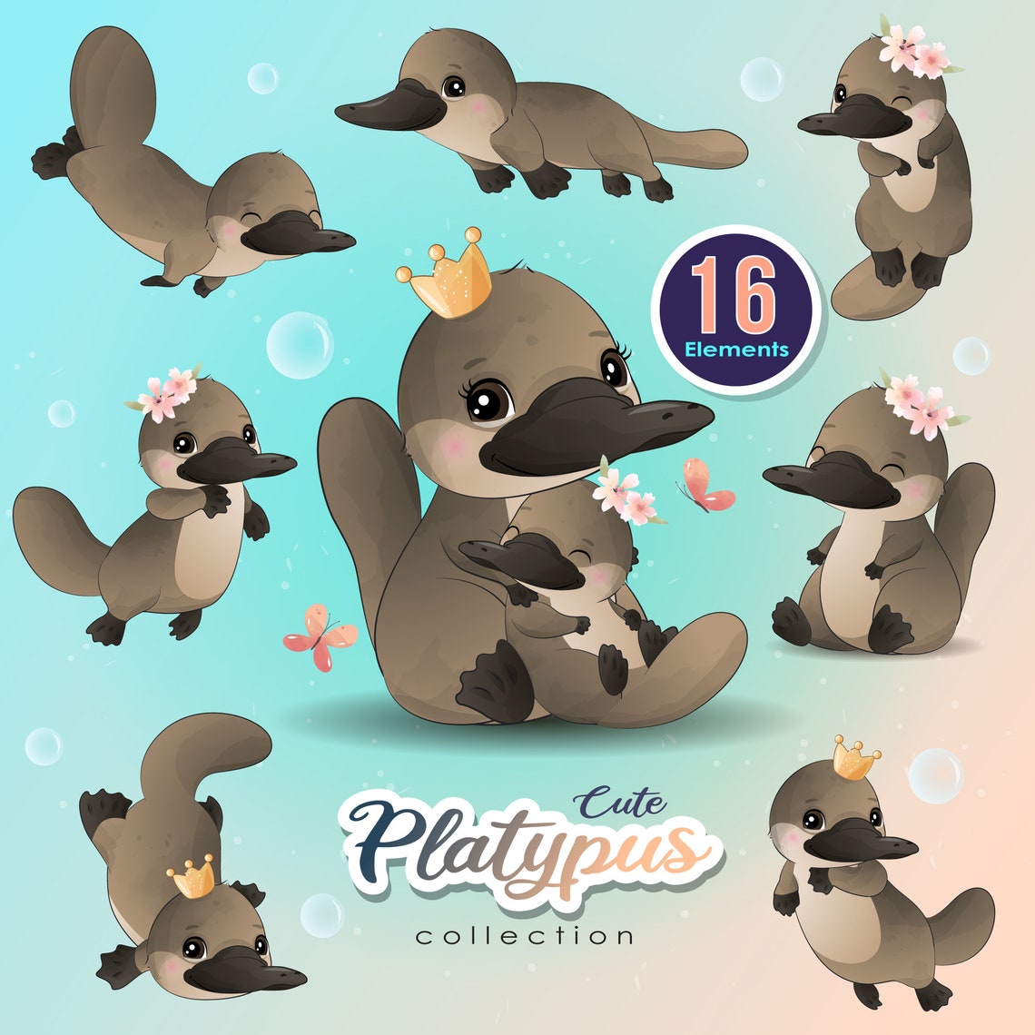 Doodle Platypus Digital Clipart Collection. Digital Download - Etsy