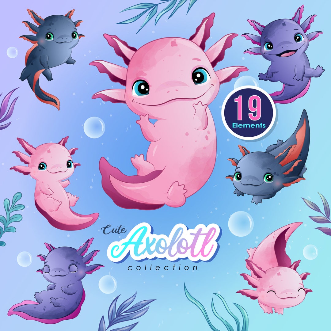 Doodle Axolotl Digital Clipart Collection. Digital Download in PNG, JPG ...
