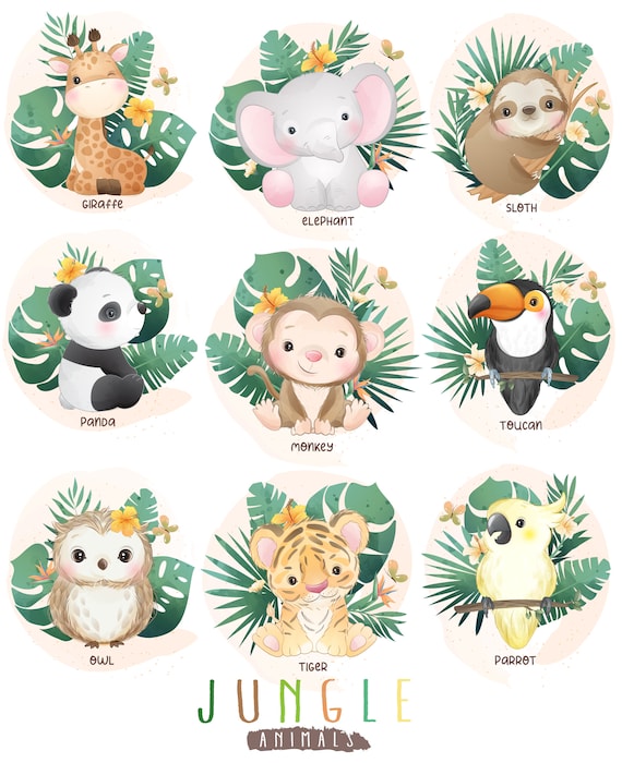 Cute Jungle Animals Clipart With Watercolor Illustration - Etsy