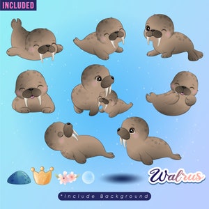 Doodle Walrus Digital Clipart Collection. Digital Download in PNG, JPG ...