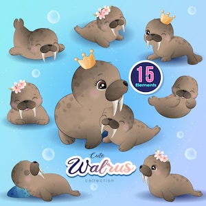 Doodle Walrus Digital Clipart Collection. Digital Download in PNG, JPG ...