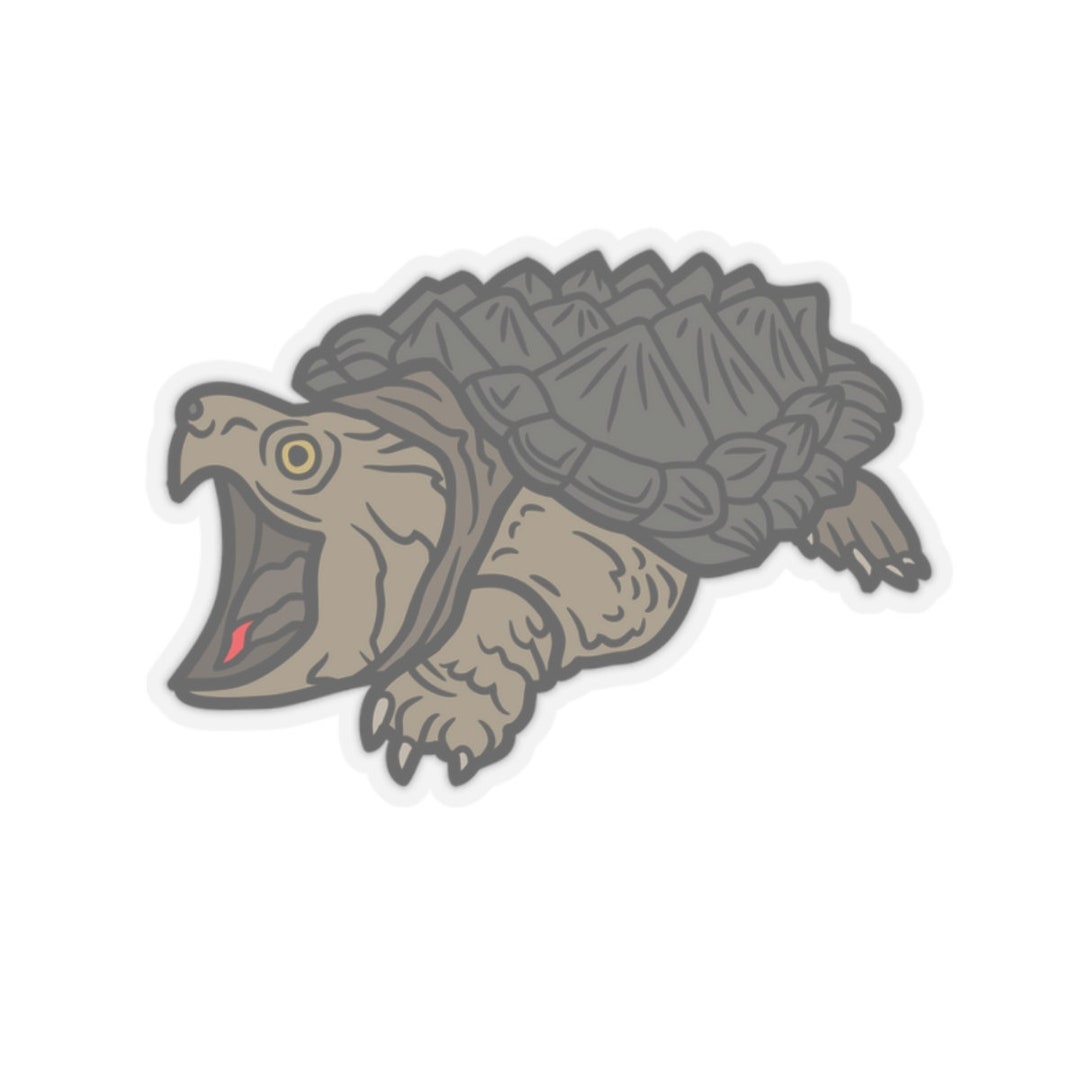 Snapping Turtle - Etsy