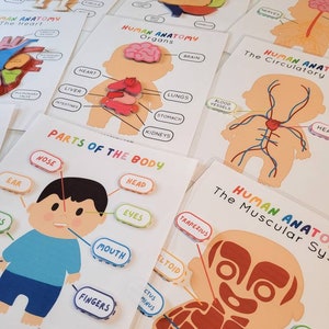 Human Anatomy Busy Book Human Body Game Brain Anatomy | Etsy
