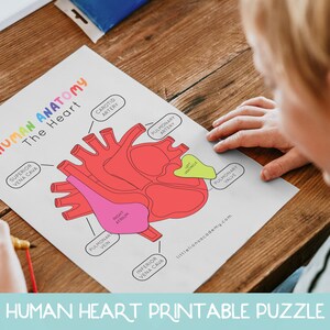 Heart Anatomy Puzzle, Heart Anatomy Printable Activity, Human Body Game ...