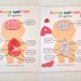Human Organs Game, Human Anatomy Activity, Homeschool Curriculum, Busy ...