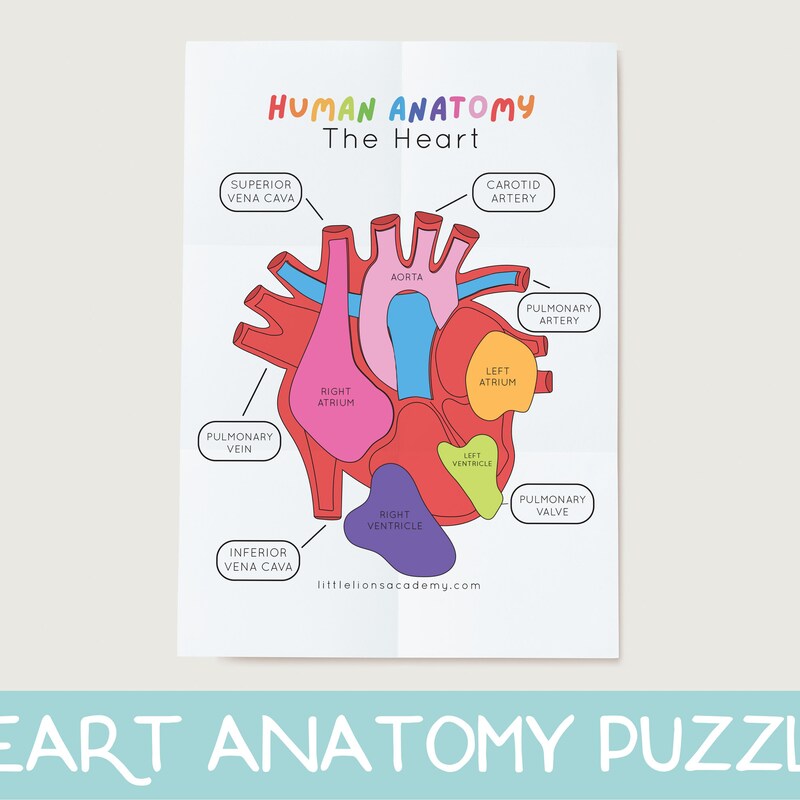 Heart Puzzle - Etsy
