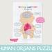 Human Organs Game, Human Anatomy Activity, Homeschool Curriculum, Busy ...