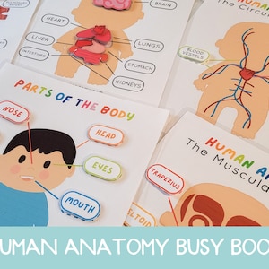 Human Anatomy, Busy Book, Human Body Game, Brain Anatomy, Homeschool ...