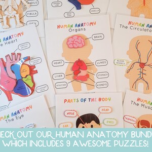 Skeletal System Puzzle, Human Anatomy Activity, Homeschool Curriculum ...