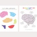 Brain Anatomy Puzzle, Brain Anatomy Printable Activity, Human Body Game ...