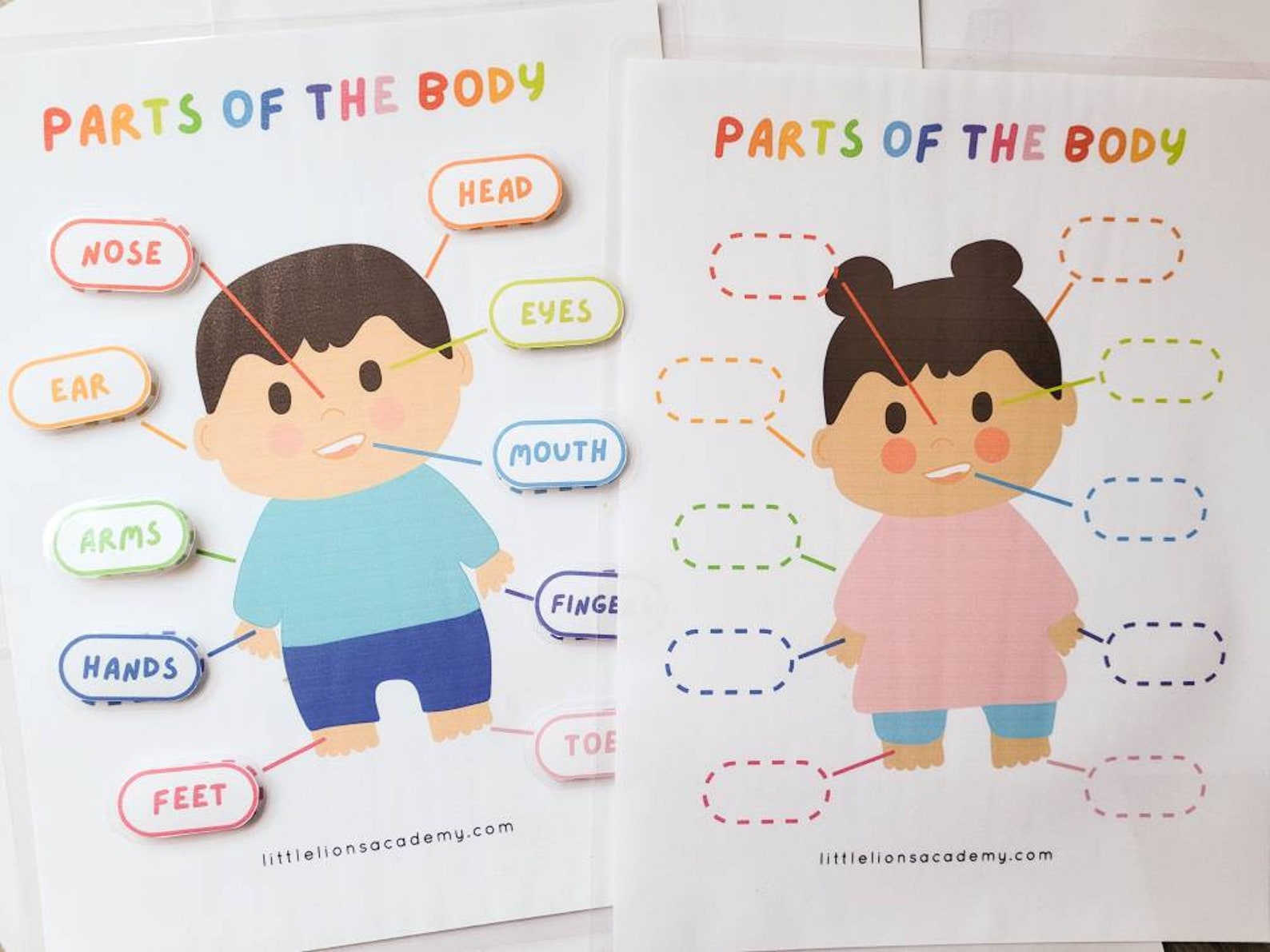 Human Anatomy Busy Book Human Body Game Brain Anatomy | Etsy