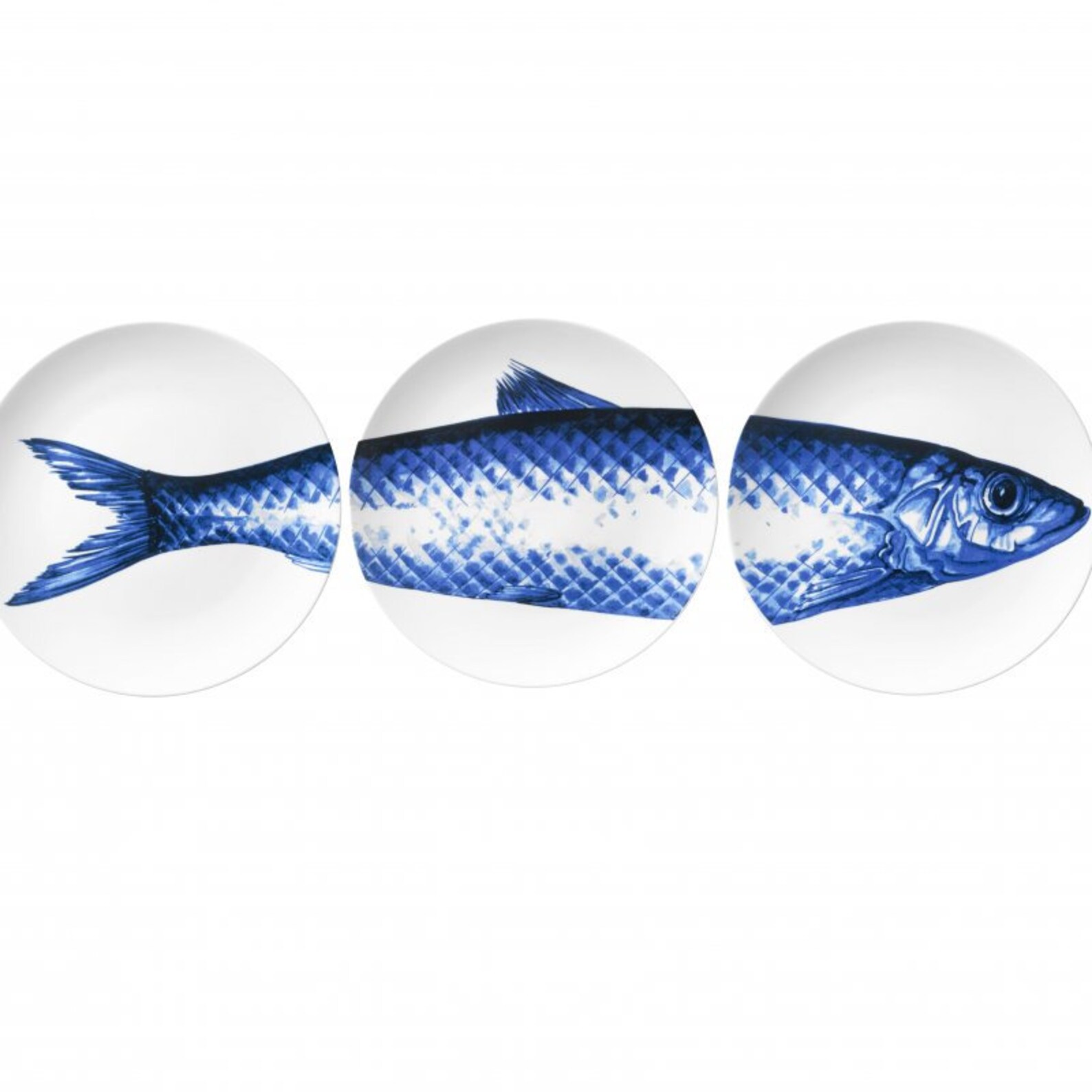 Set of 3 Wall Plates fish Delft Blue Porcelain - Etsy