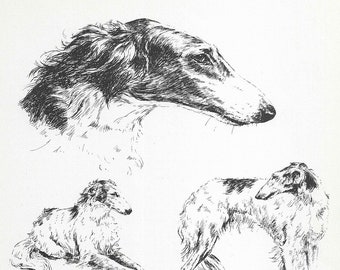 Borzoi Art Print - Etsy