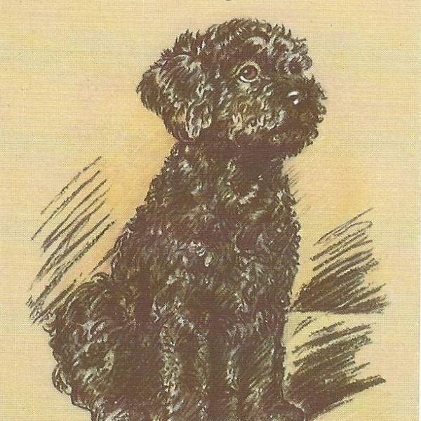 Lucy Dawson Dogs - Etsy