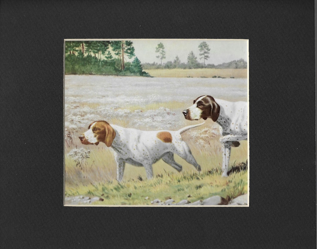 Pointer Vintage Dog Art Print - Etsy