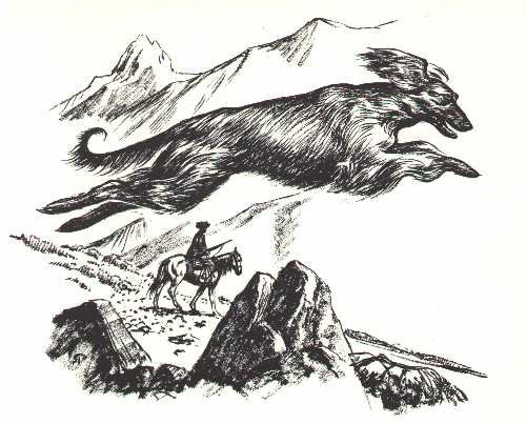 Afghan Hound Print - 8" X 10" CUSTOM MATTED - 1964 Antique Dog Print by ...