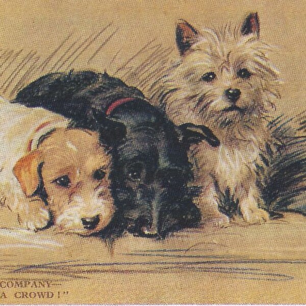 Lucy Dawson Dogs - Etsy