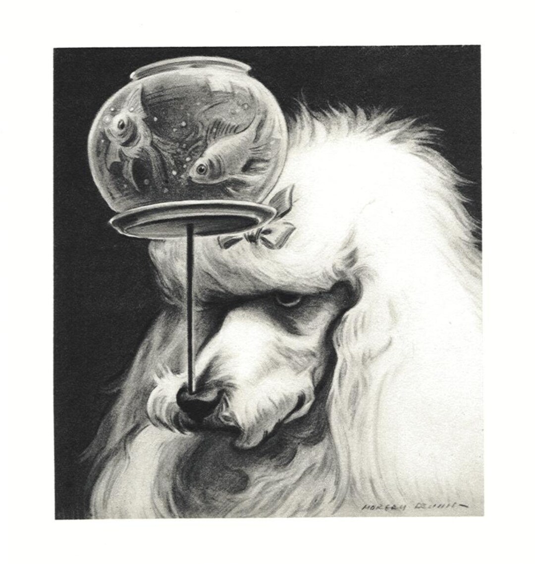 Poodle - Morgan Dennis Dog Art Print - Matted - Etsy