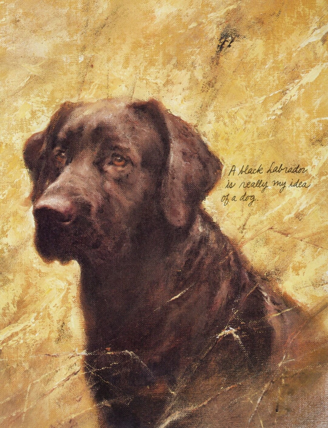 Black Labrador Retriever Print - CUSTOM MATTED - 1983 Vintage Color Art ...