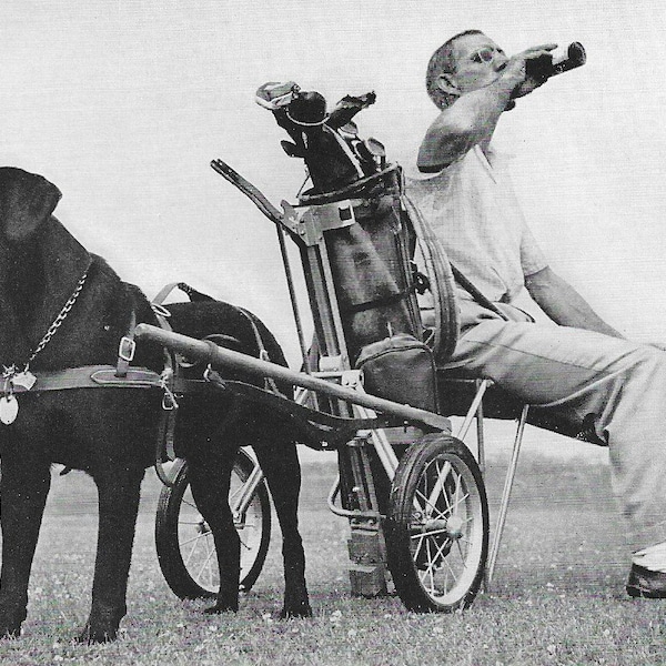 Retro Golf Cartoon Poster, 70s Cartoon Poster, Golf Cartoon Print - Etsy UK