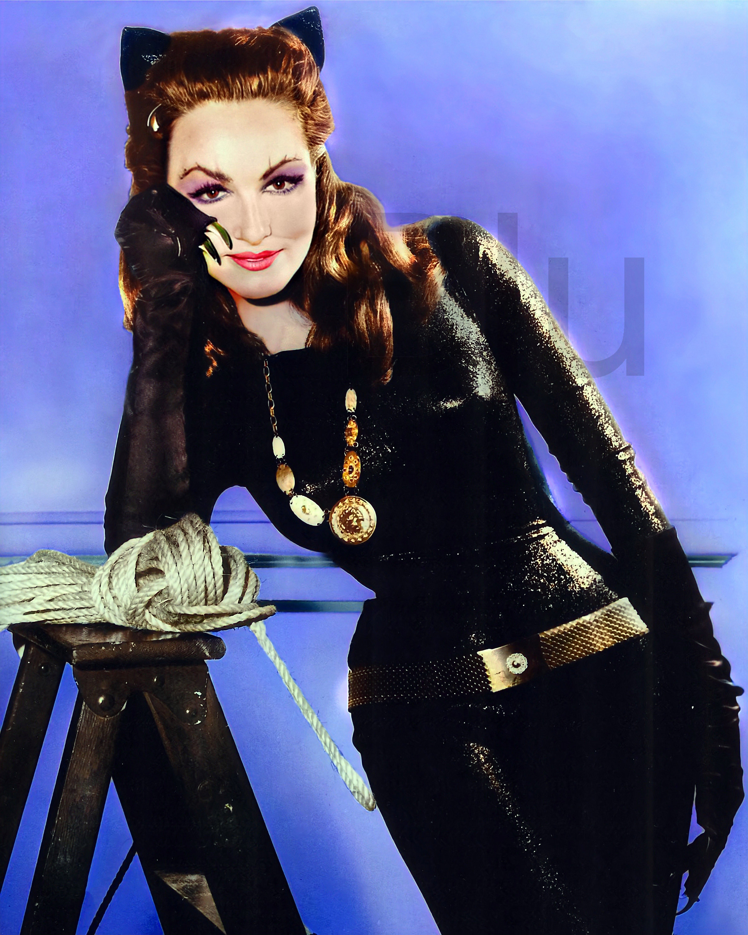 Julie Newmar Catwomen 11 X 14 Photo Print Etsy Australia